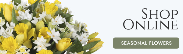 Florist and Fruiterer in Norfolk - Starlings of Swaffham